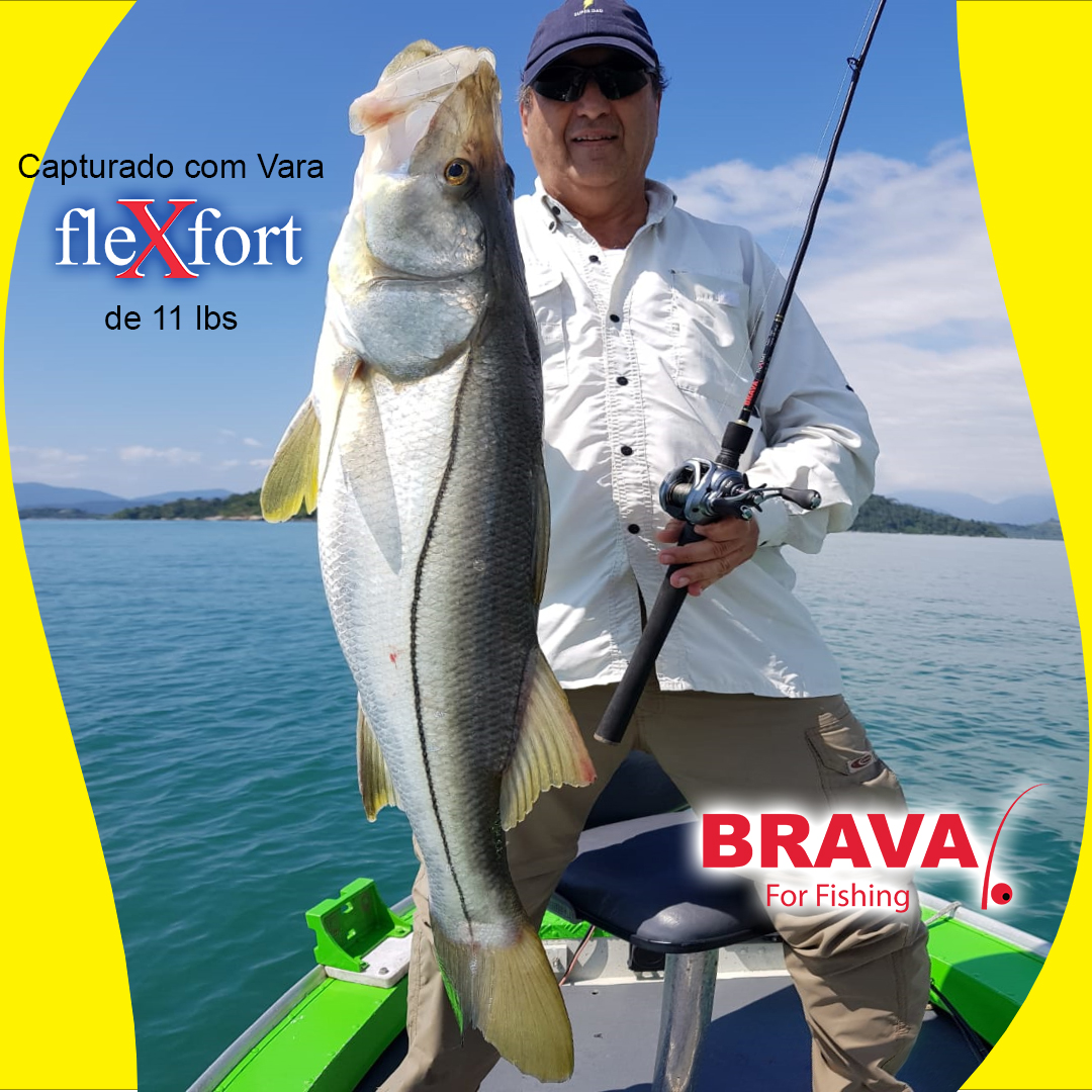 Robalo Flecha – 231018